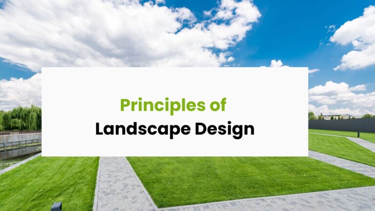 Learn Principles and Elements of Landscape Design In 2024